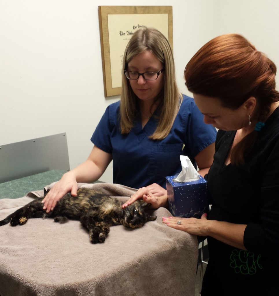 Euthanasia Process - catvets.com