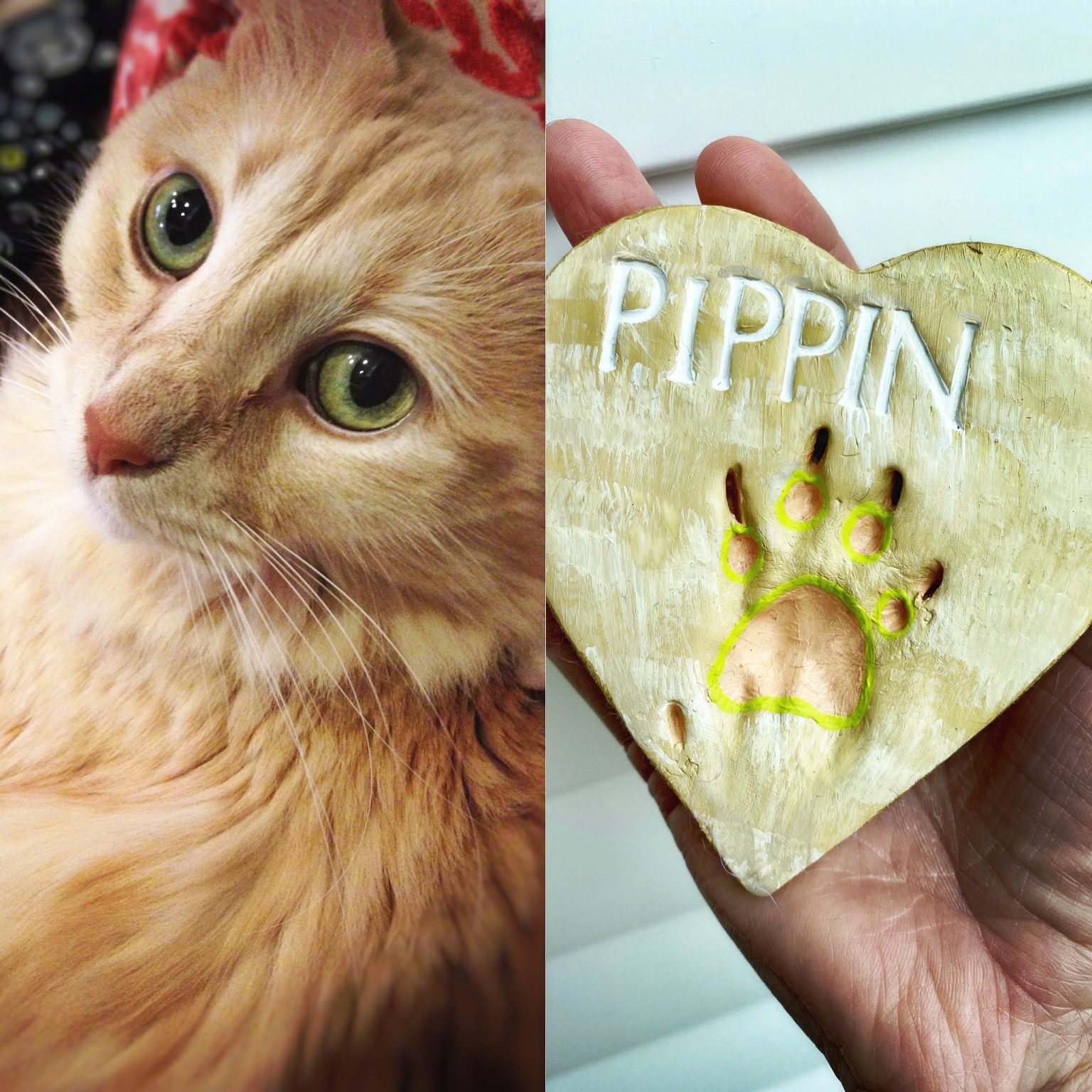 Final Arrangements - catvets.com