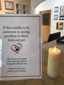 Euthanasia Experience - catvets.com