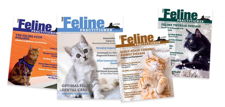 Media Kit - catvets.com