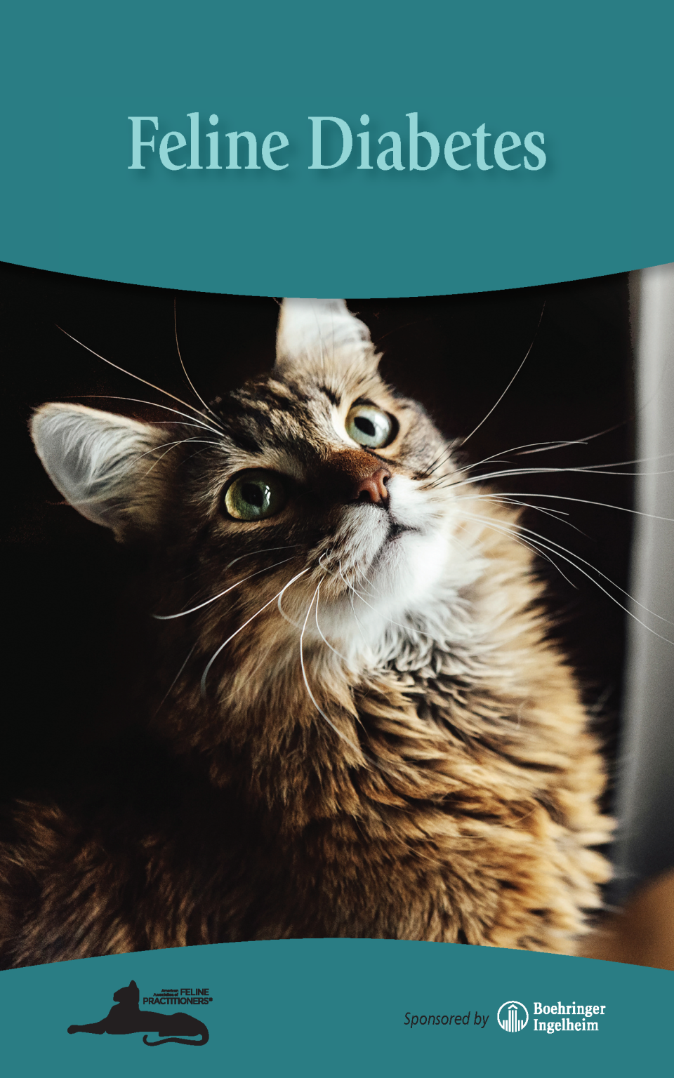 Client Resources - catvets.com