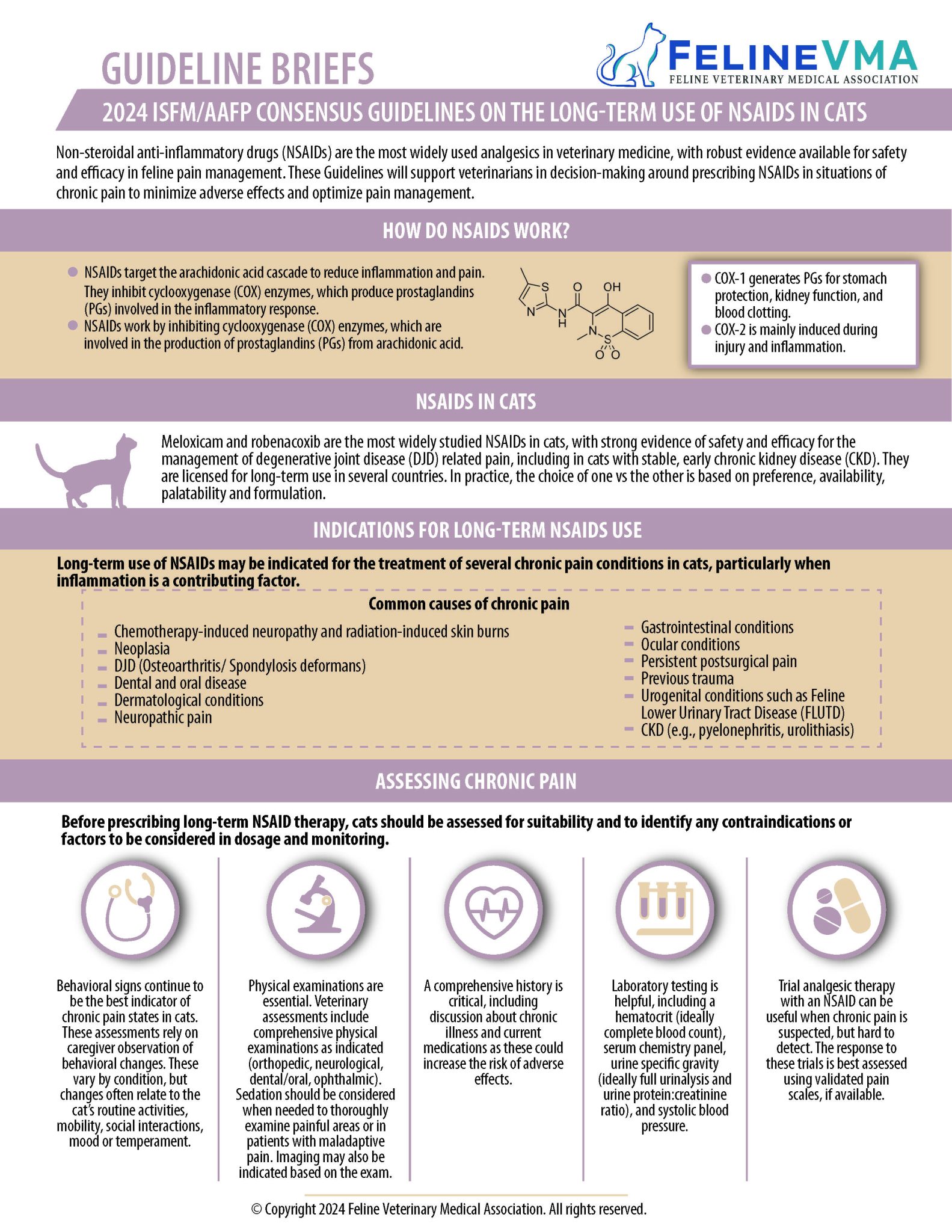 Guideline Briefs - catvets.com
