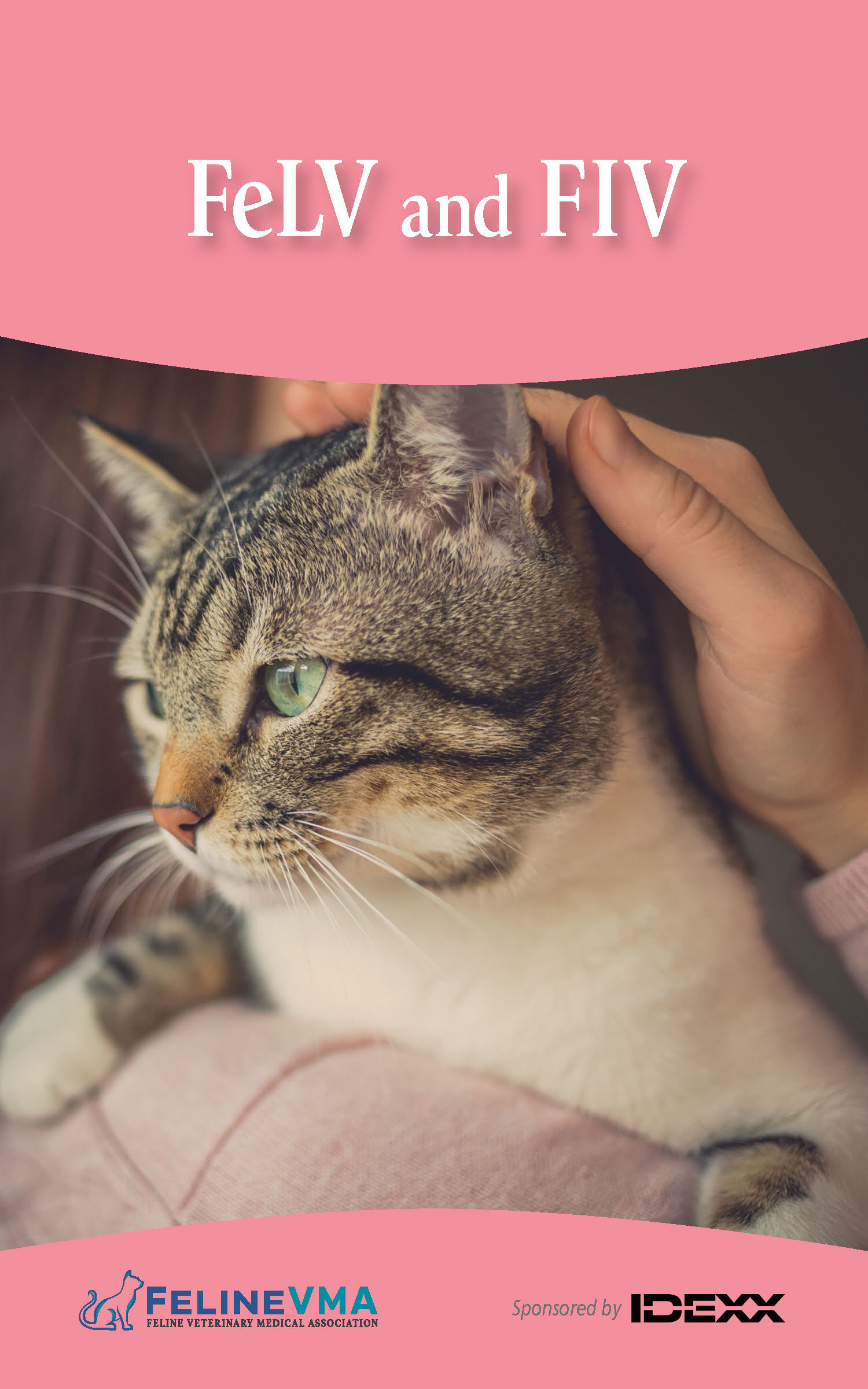 Client Brochures - catvets.com