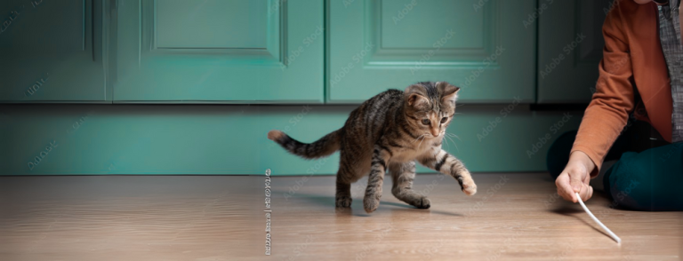 How Cats Learn - catvets.com