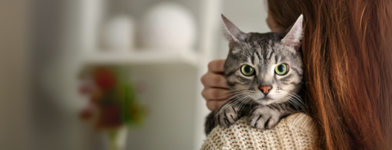 Positive Reinforcement Training Educational Toolkit - catvets.com