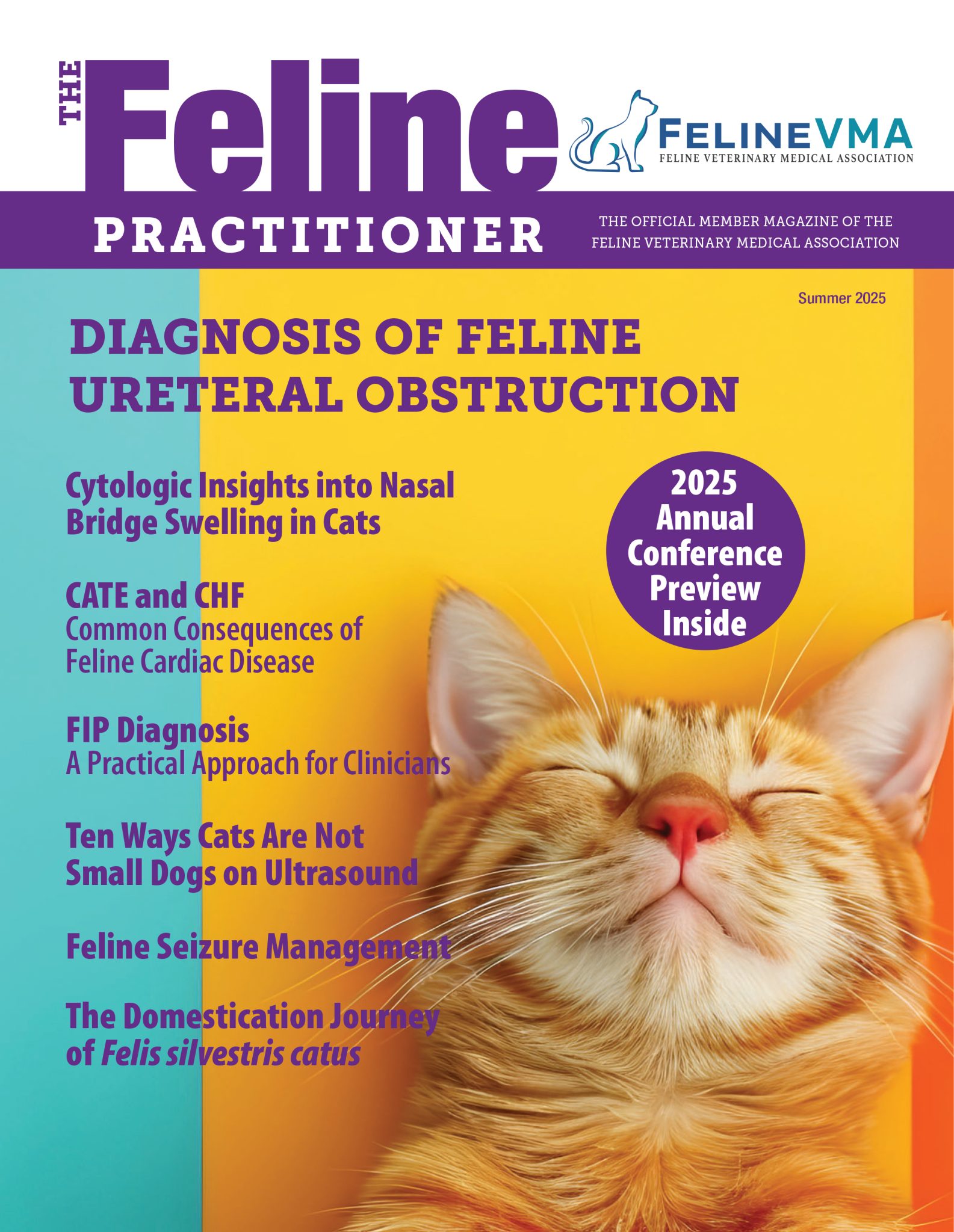 The Feline Practitioner Magazine - catvets.com