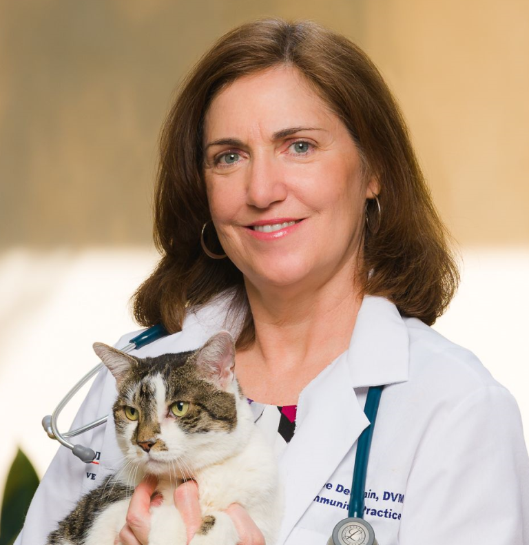 Senior Cats & Hidden Disease: The Impact of Early Detection - catvets.com