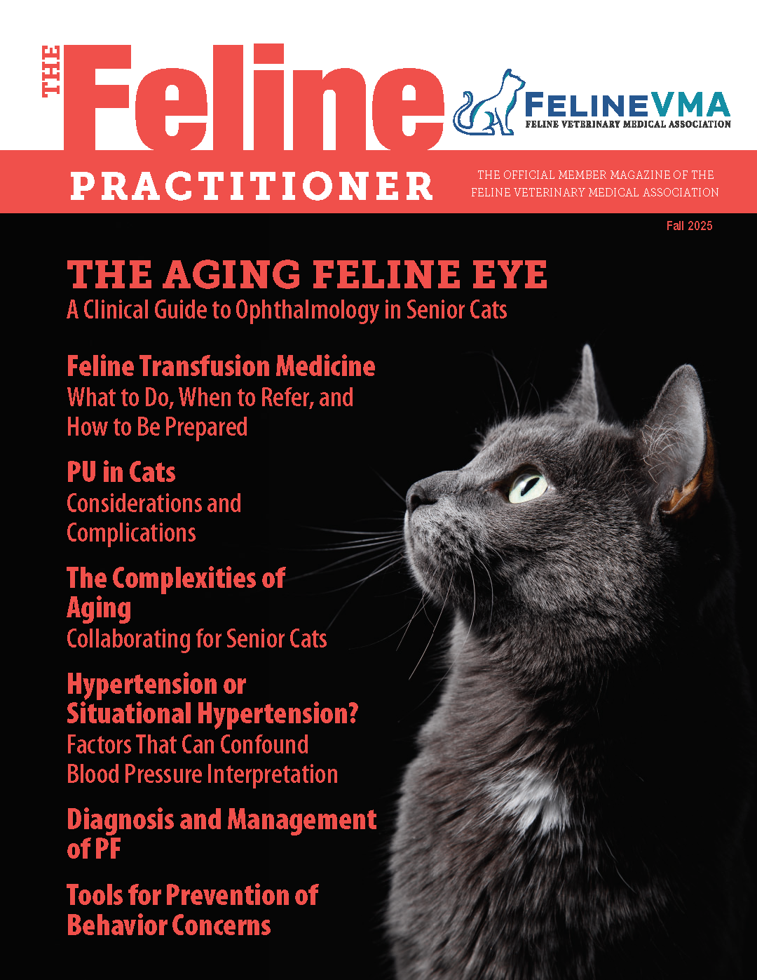 The Feline Practitioner Magazine - catvets.com