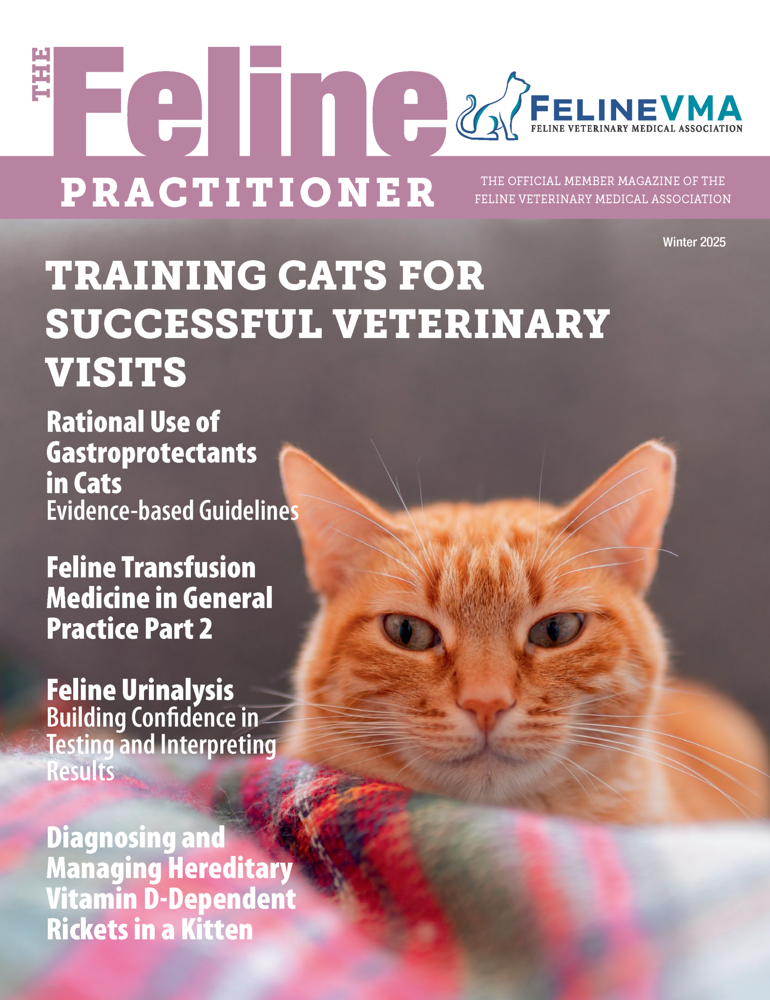 The Feline Practitioner Magazine - catvets.com